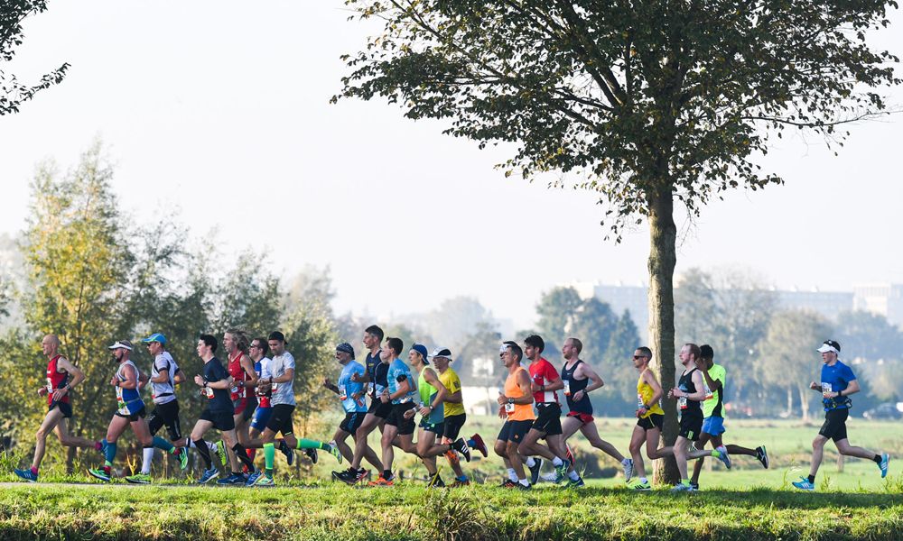 Trainingsfrequentie
