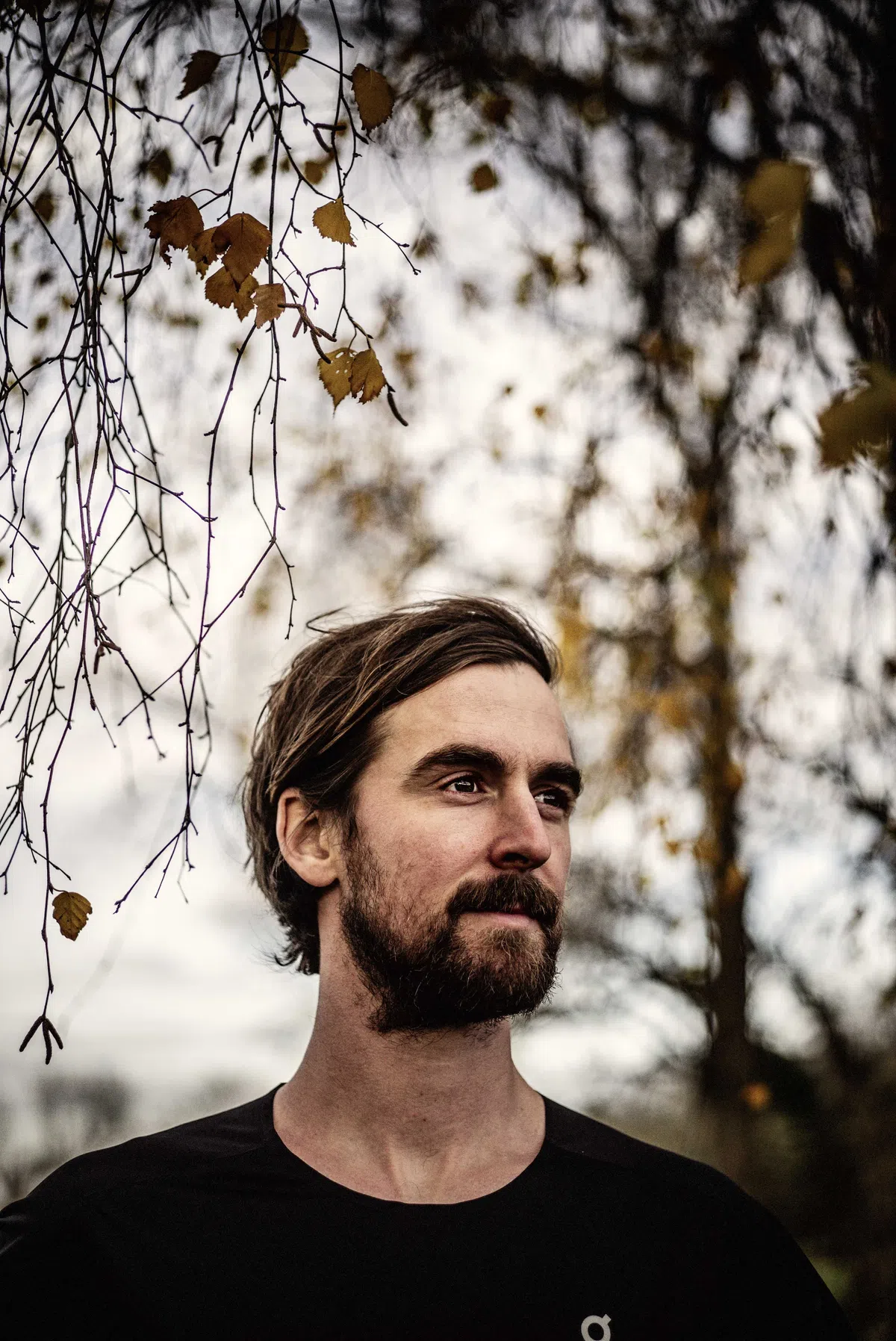 Kijktip: docu 'Solace', over hoe ultraloper Karel Sabbe de Via Alpina ...