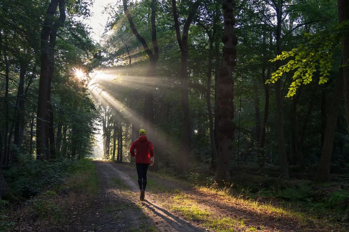 NS wandeling, maar dan voor trailrunners: maak kennis met NS Trails