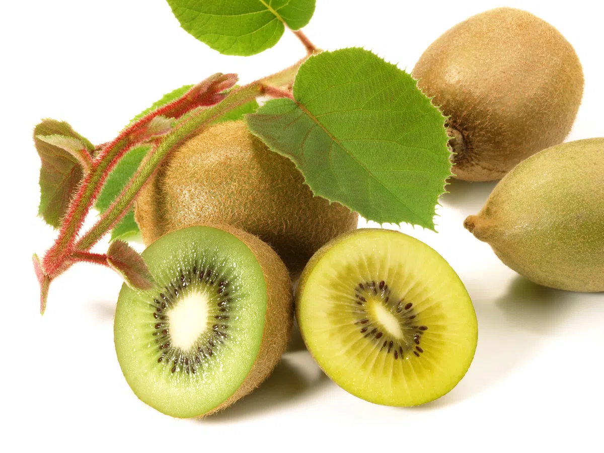 Wat is gezonder: een gele of een groene kiwi?